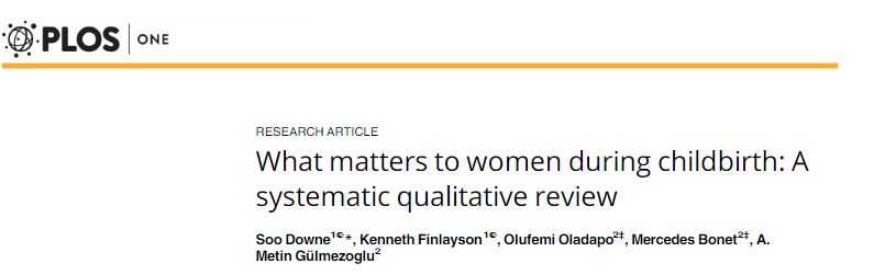 What Matters to Women during Childbirth: A Systematic Qualitative Review - AlignMNH